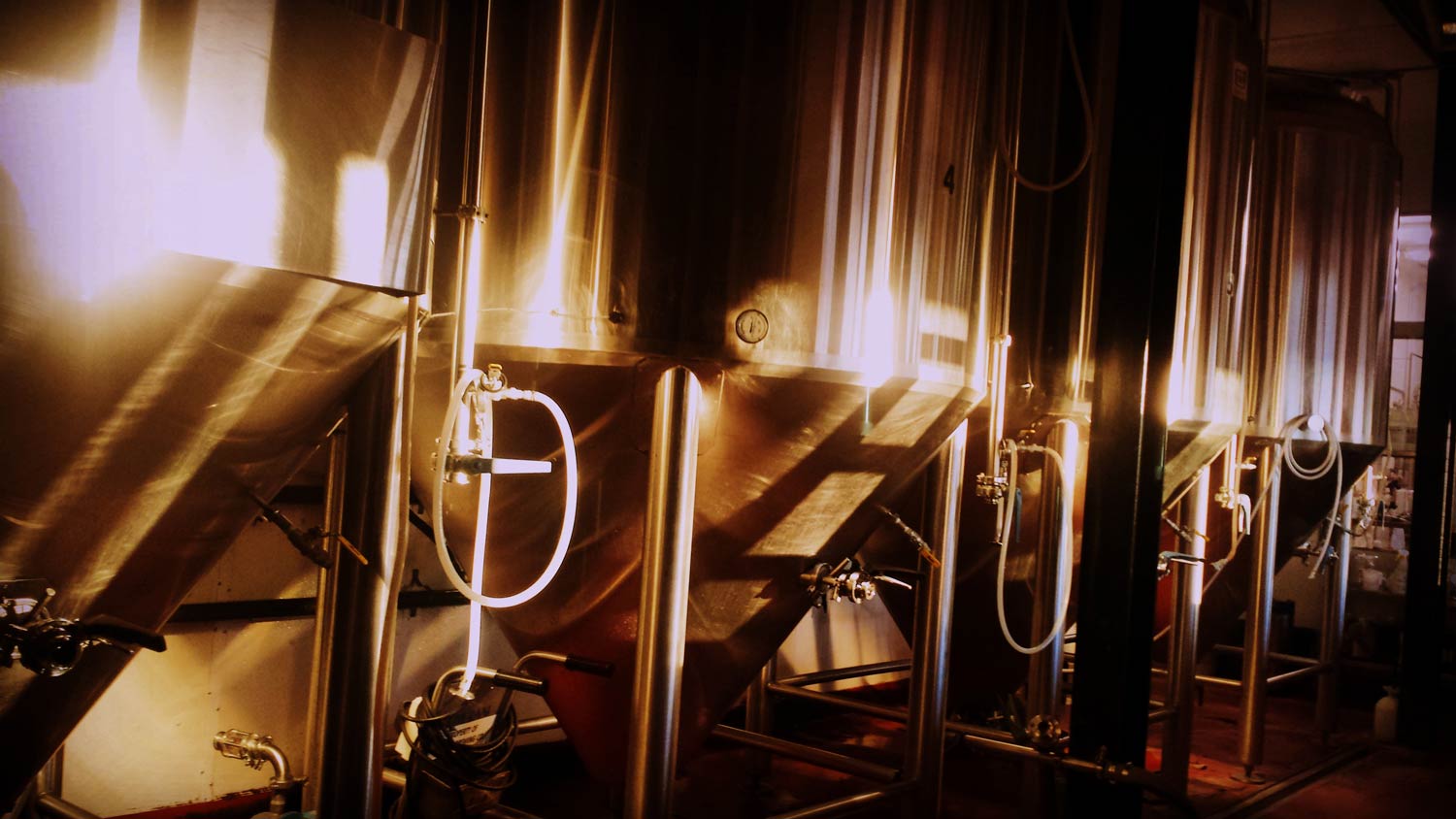 Wagner Valley Brewing Co - Craft Beer