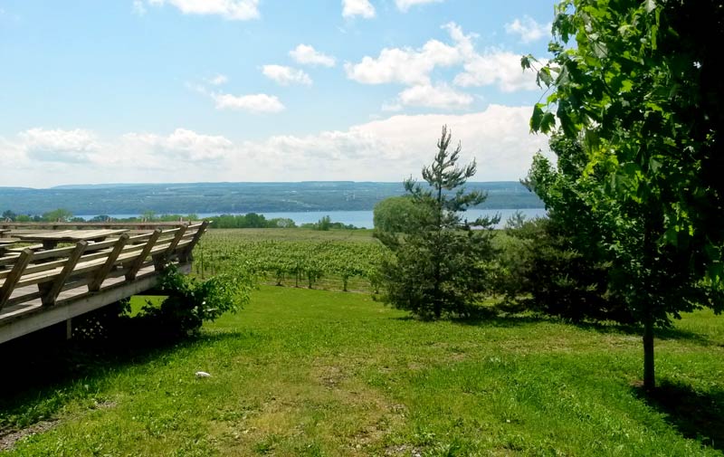 Lake view from the brewer’s office | Wagner Valley Brewing Co